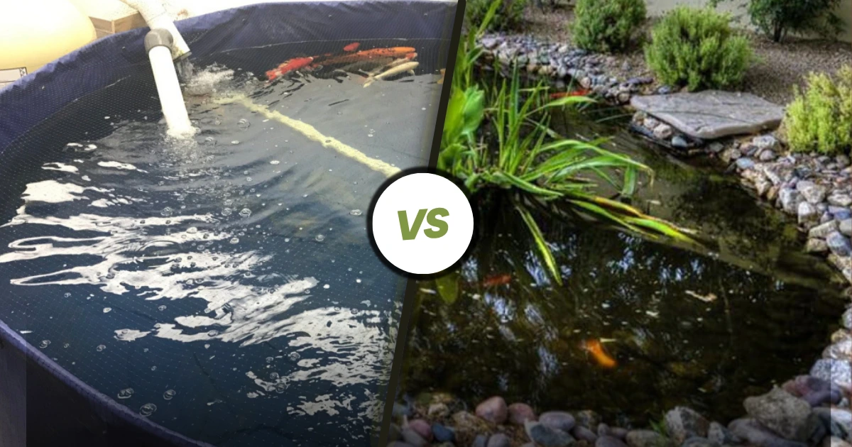 Swimming Pond vs Traditional Pond: Pros & Cons - Koi Pros